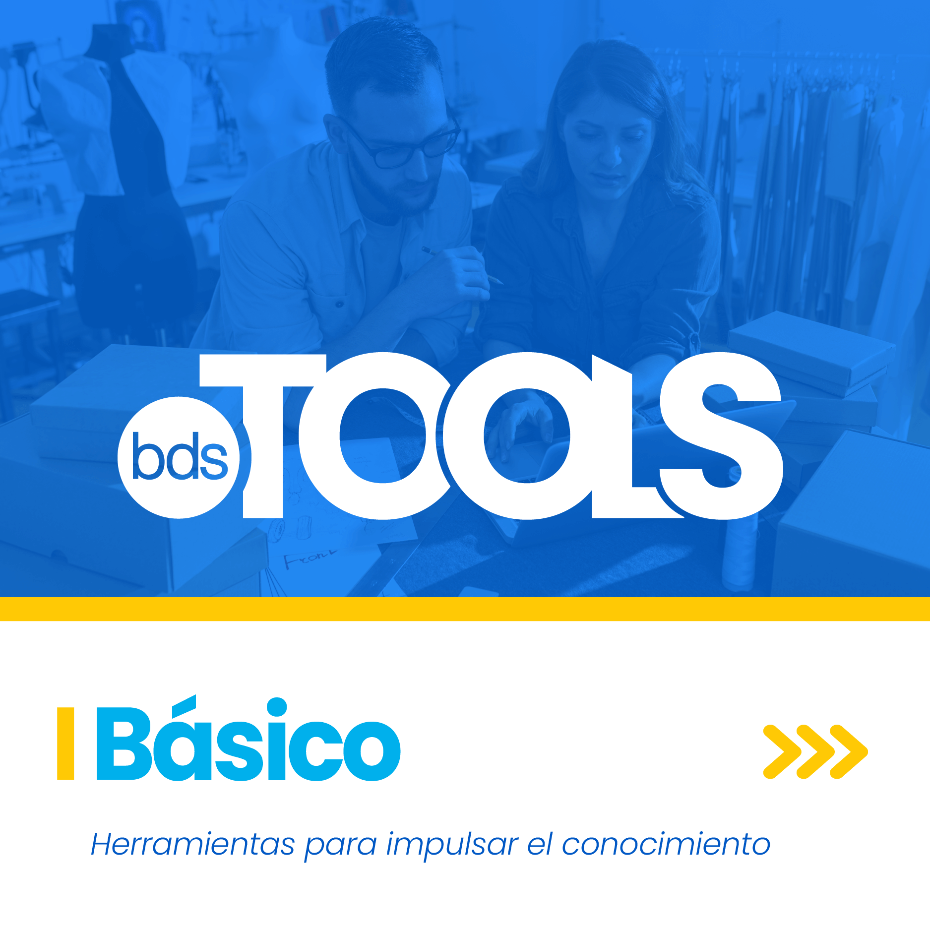 Costa Rica / BDS Tools Básico - BDS Asesores - Especialistas en Derecho ...